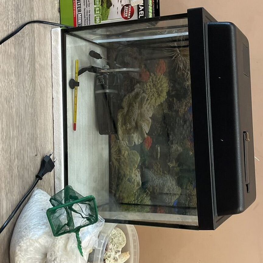 Аквариумные рыбки