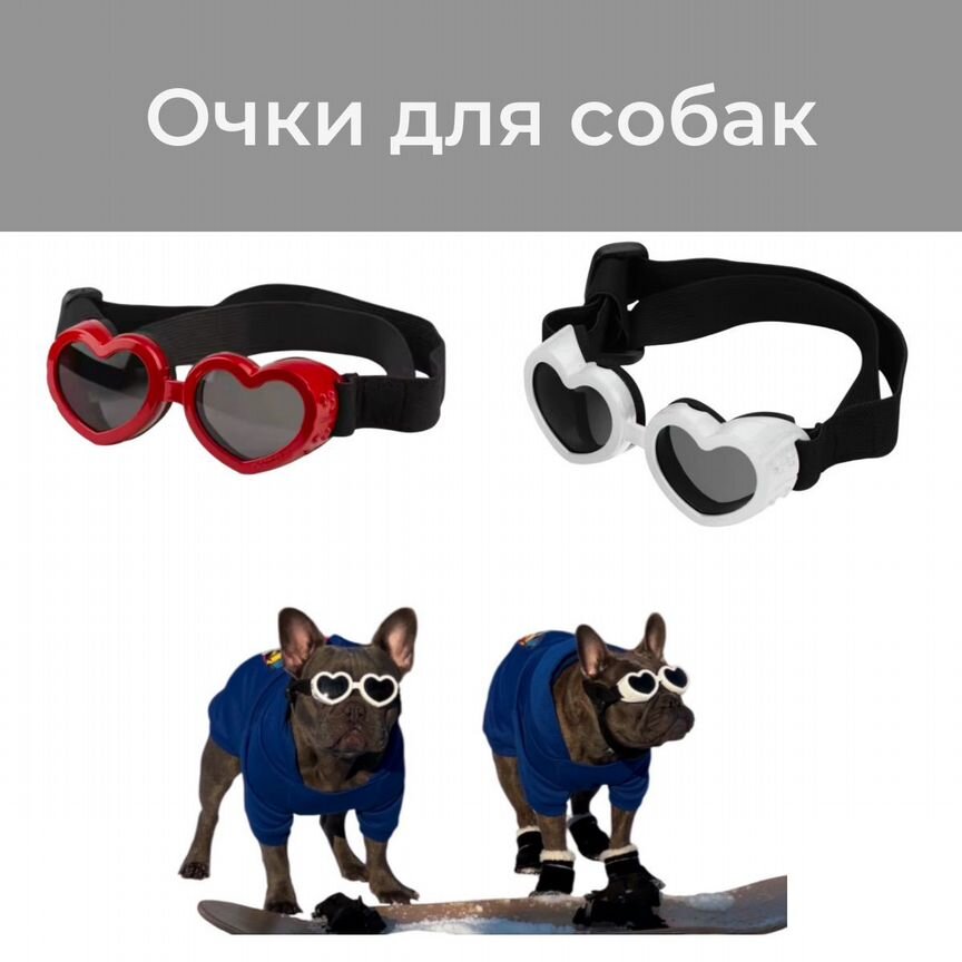 Очки для собак