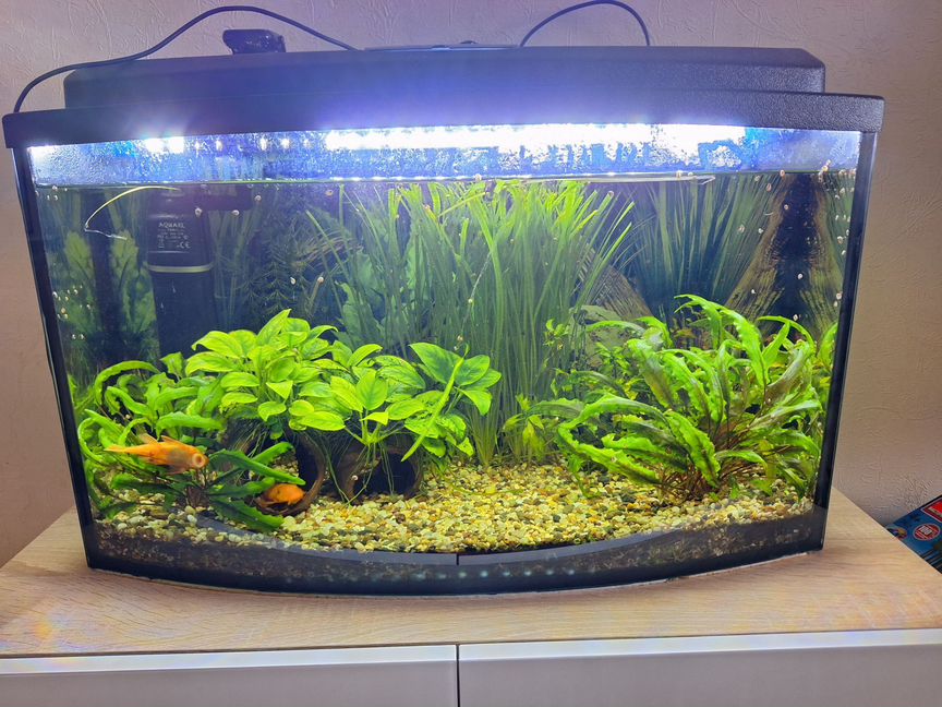 Аквариум 60 литров