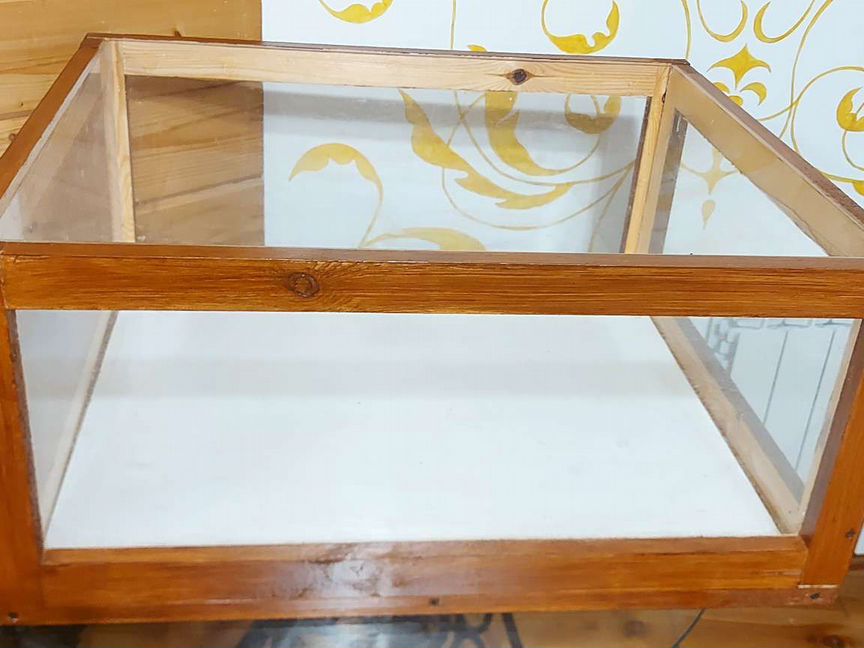 Аквариум, Террариум