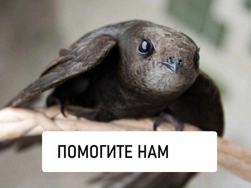 Ищу инвестора для открытия благотворительного фонд