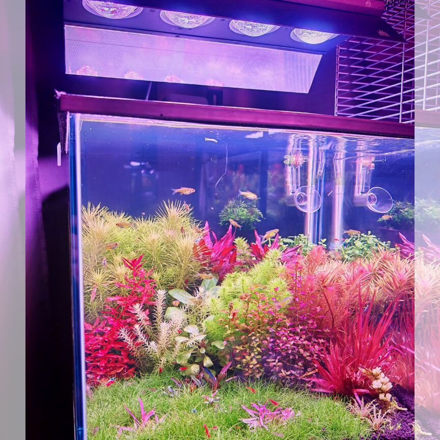 Свет для аквариума week aqua z400 pro