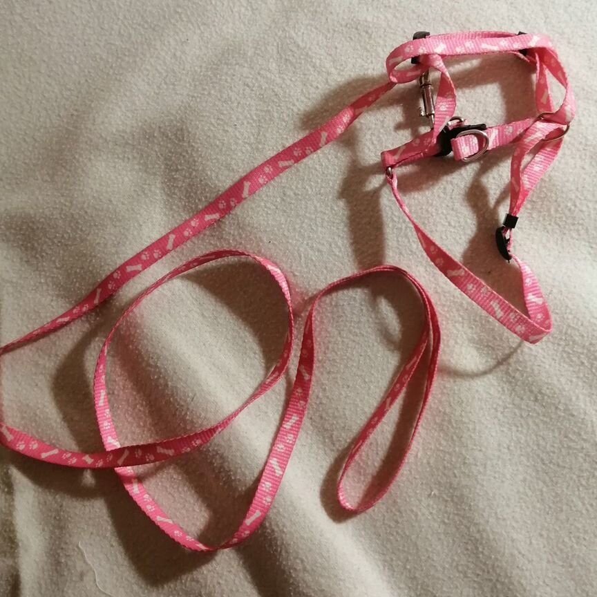 Шлейка поводок для маленьких животных