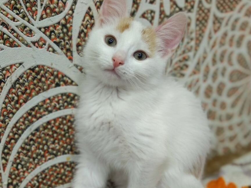 Красивый мальчишка ищет свою семью