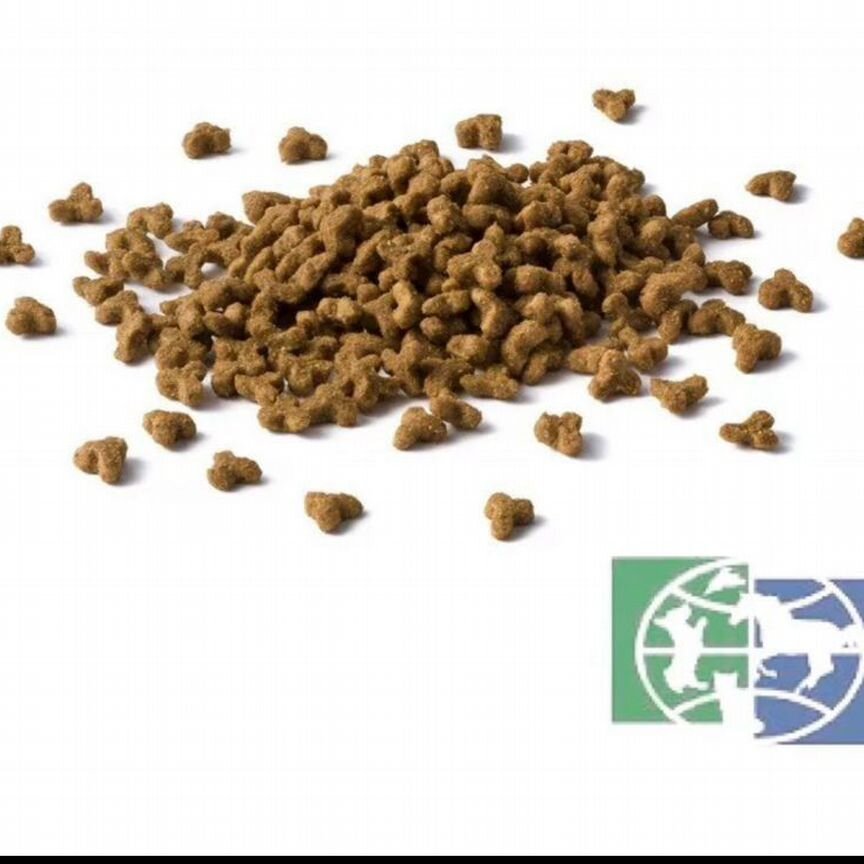 Корм для собак и кошек