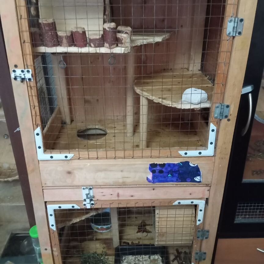 Витрина для шиншилл