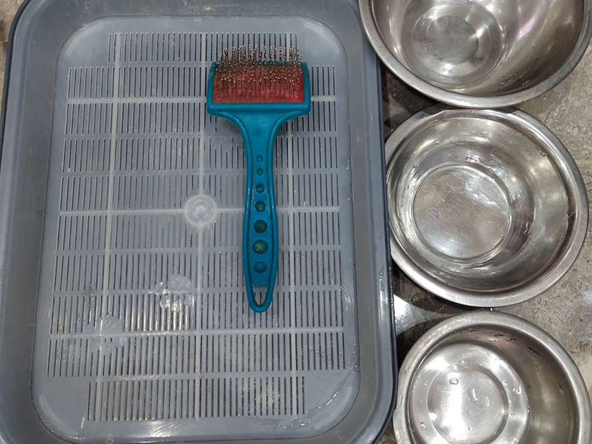 Для кошек горшок,миски,щетка