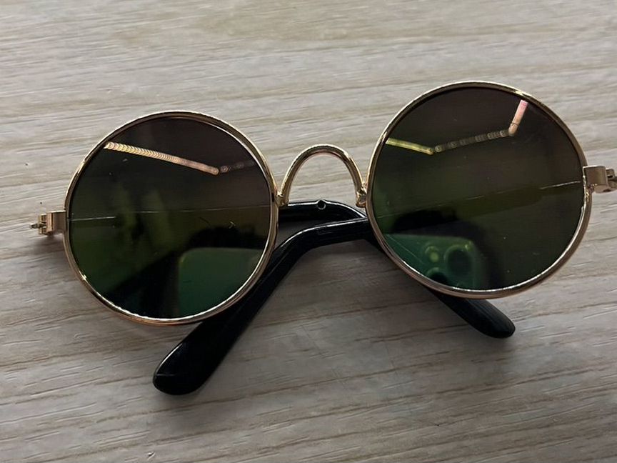 Очки для кота