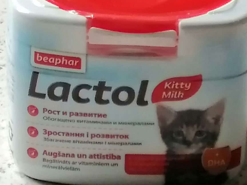 Молочная смесь для котят