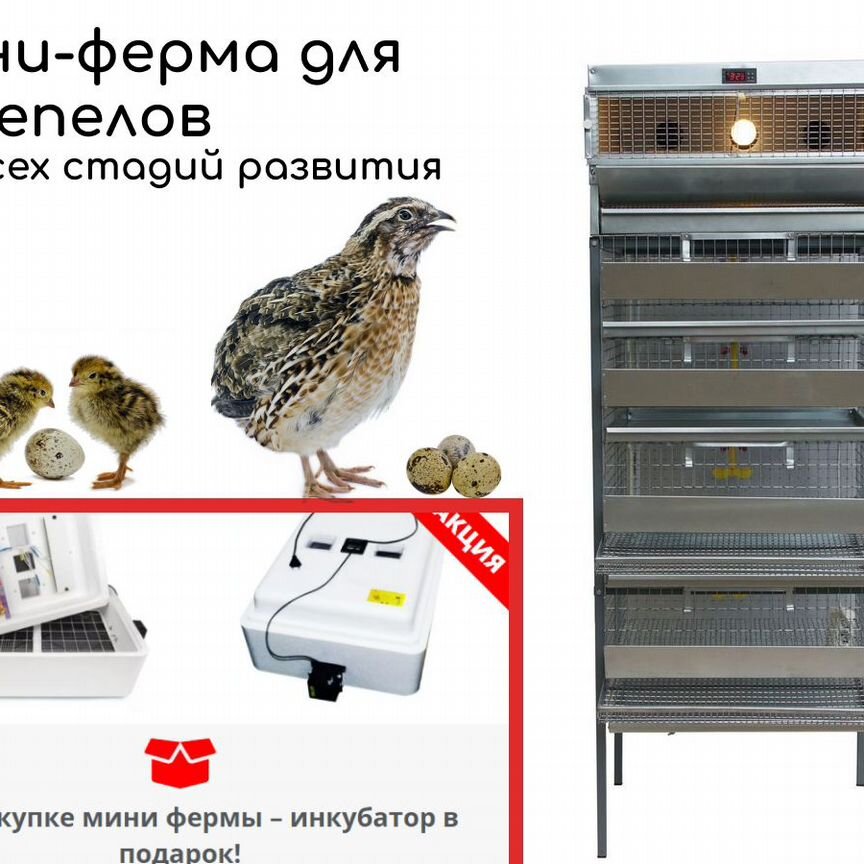 Клетки для перепелов несушек/откорм и брудер