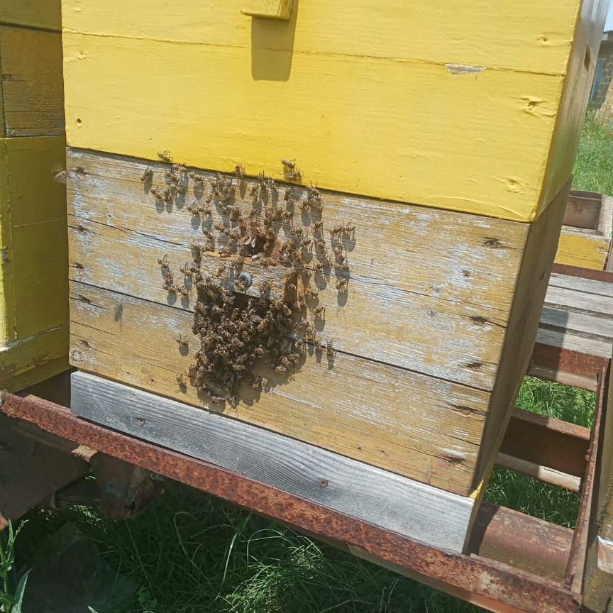 Продам улья