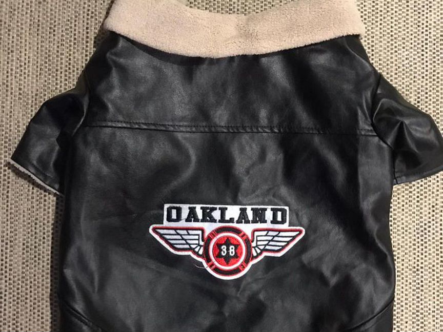 Одежда для собак