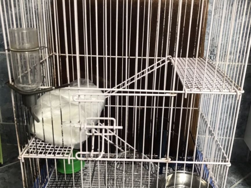 Клетка для грызунов трехэтажная