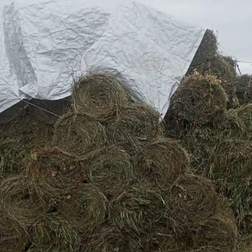 Сено в тюках