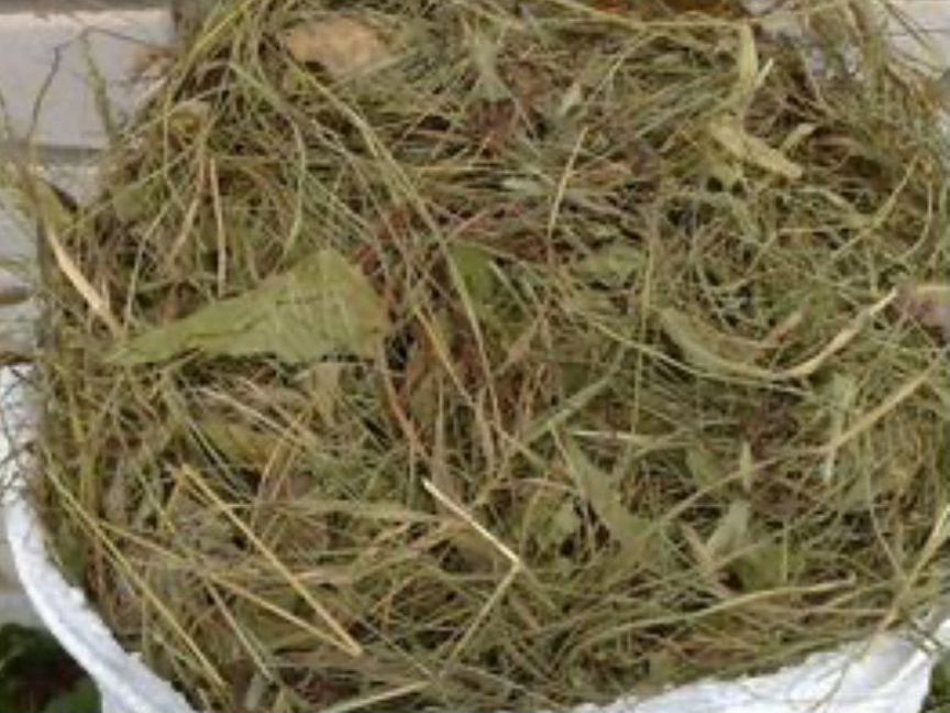 Сено луговое