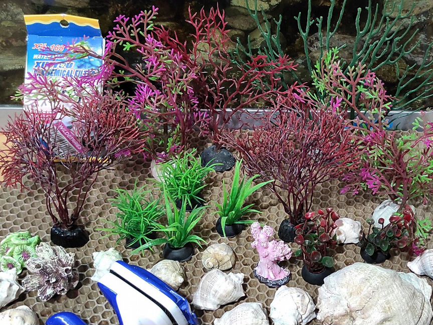 Аквариумные растения, скребок магнитный, биофильтр