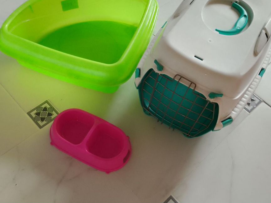 Переноска для кошек, горшок, миска для корма