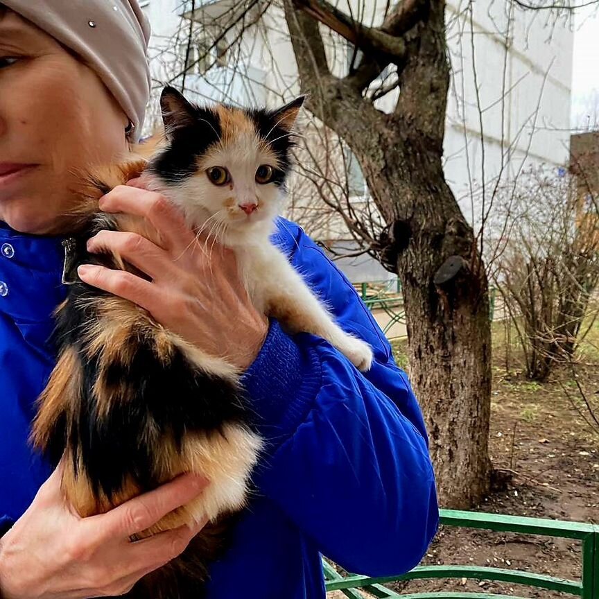 Трише 3 мес.с любящим глазами