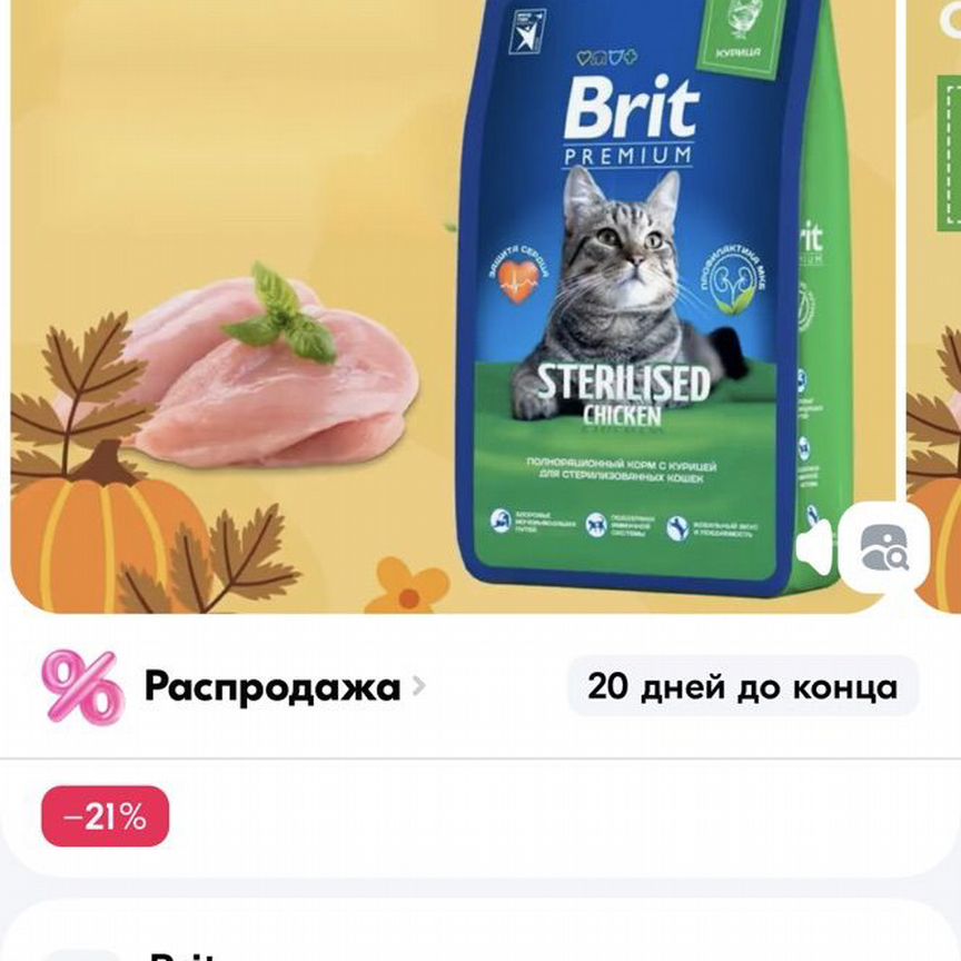 Кошачий сухой корм brit