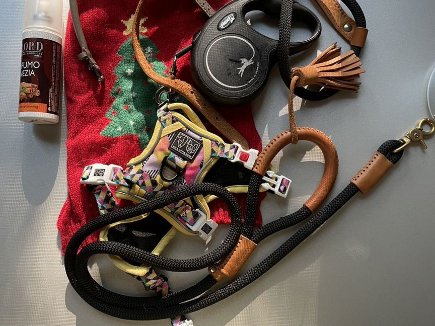 Вещи для собаки