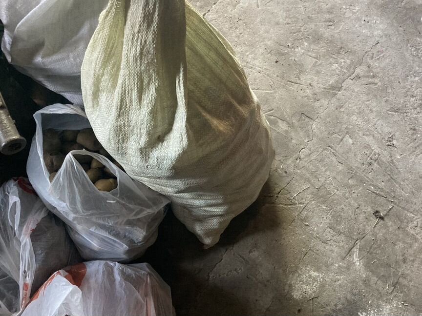 Картофель на корм скоту