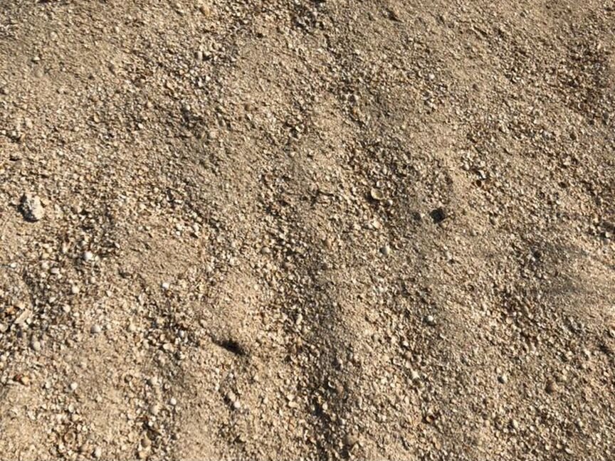 Ракушка Краснодарская