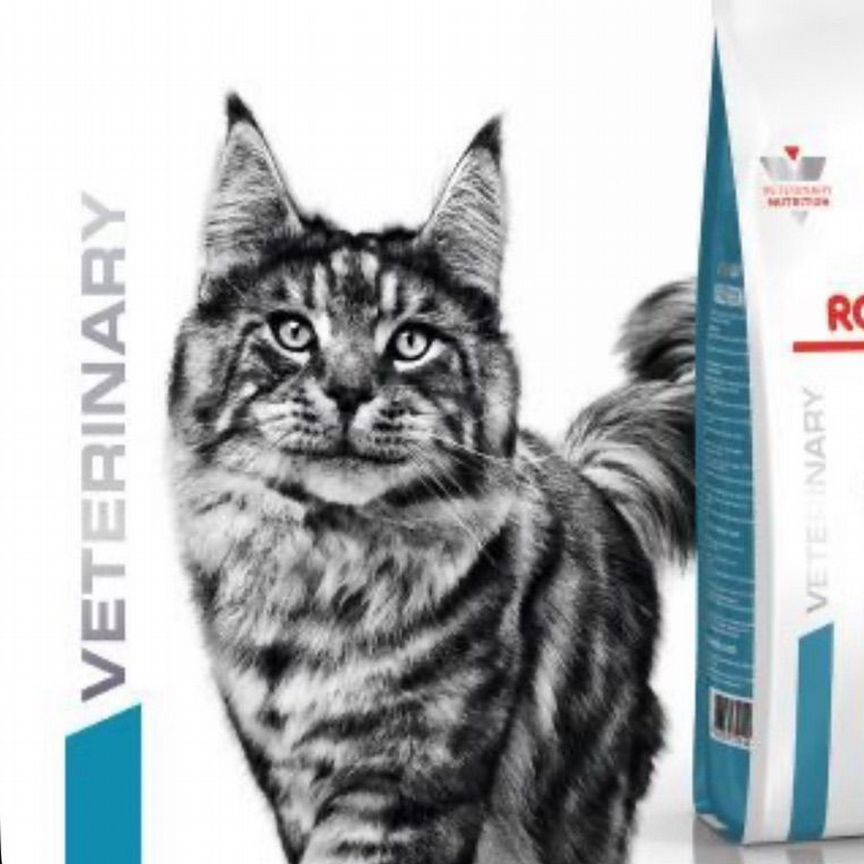 Royal Hypoallergenic гипоаллергенный с доставкой