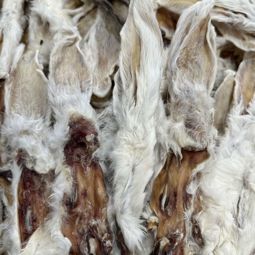 Уши кролика для собак