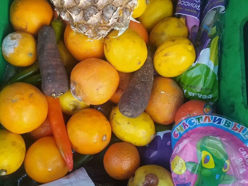 Пир для ваших питомцев