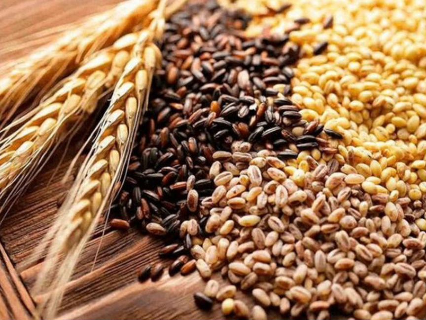 Пшеница зерно