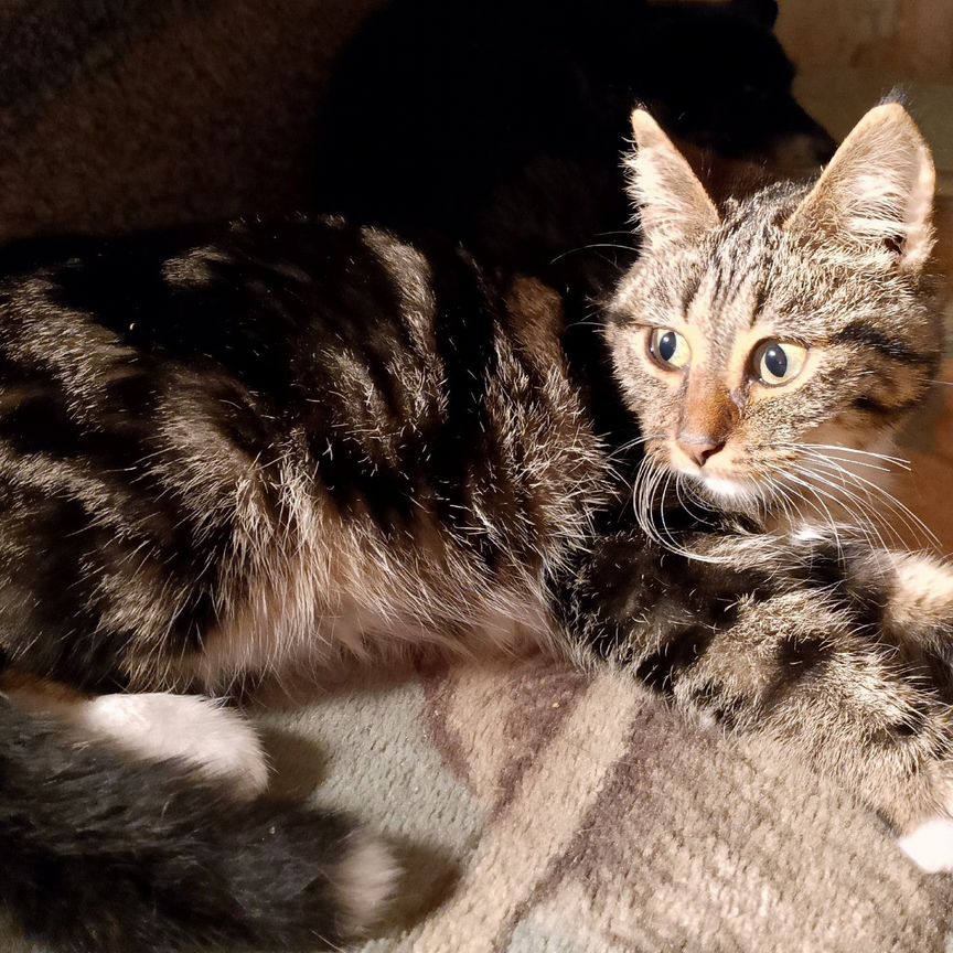 Зося ищёт любящего человека