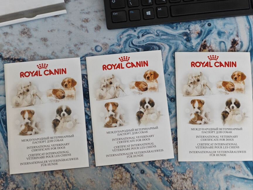 Ветеринарный паспорт 3 штуки