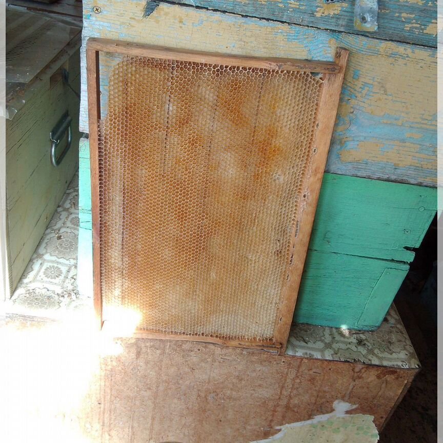 Сушь для пчел дадан