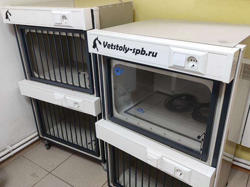 Стационар для животных