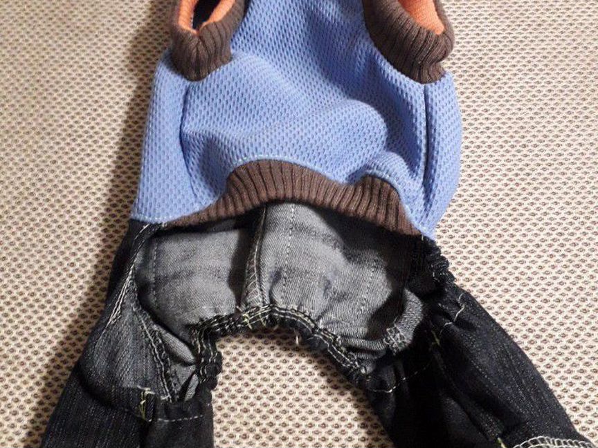 Вещи для маленькой собаки