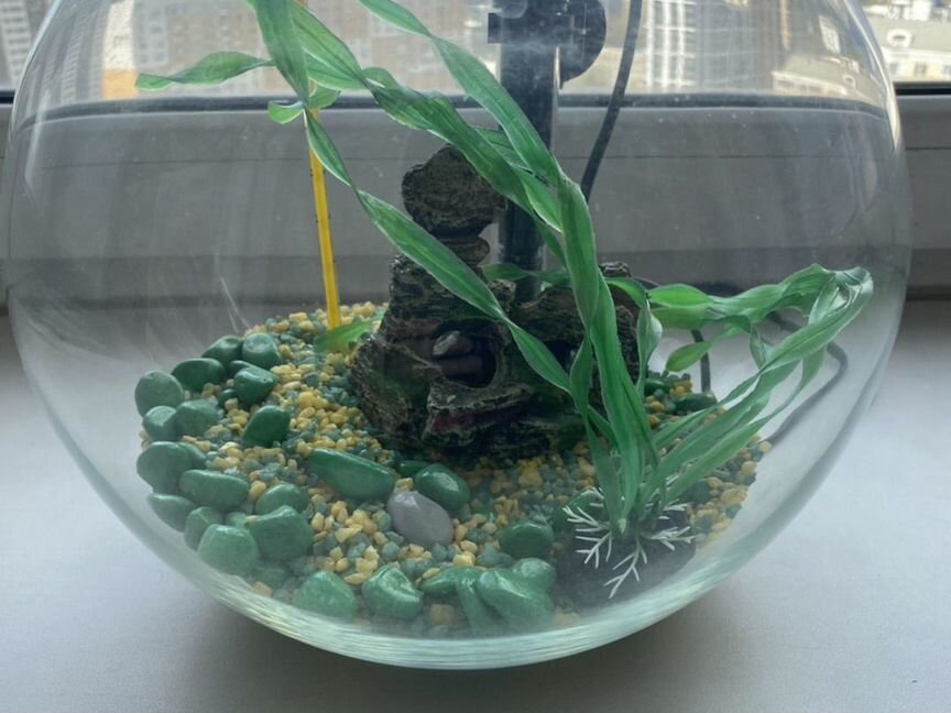 Аквариум для рыбок круглый