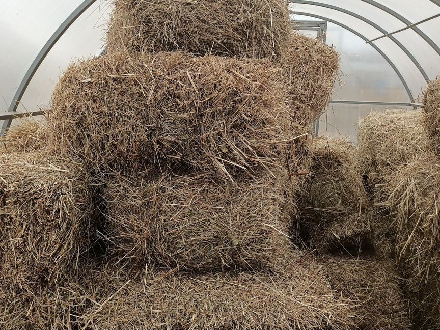 Сено в брикетах