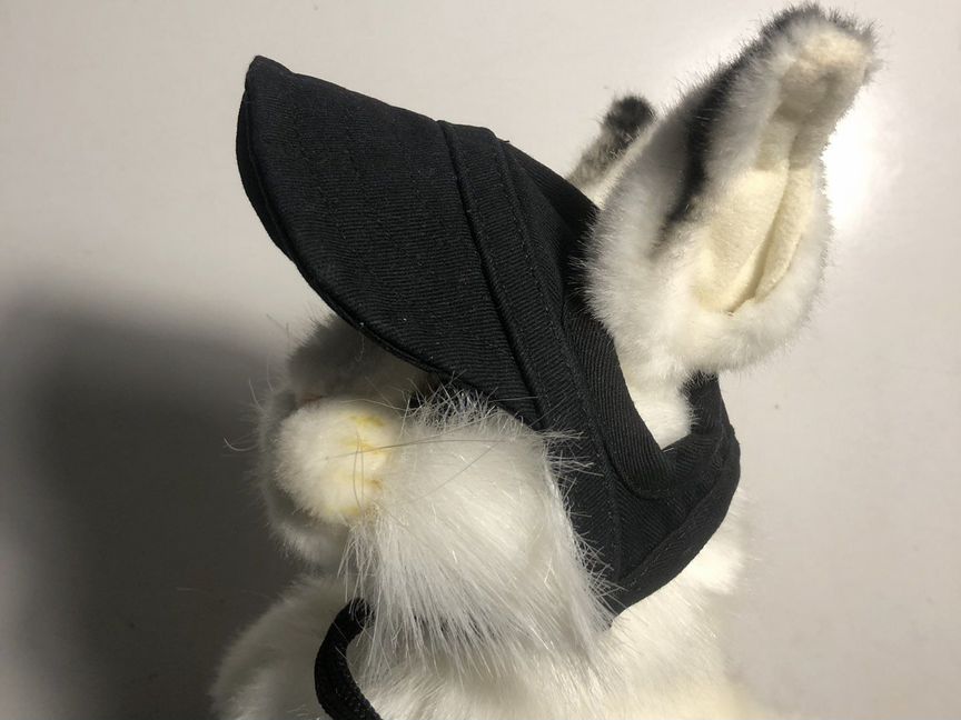 Кепка для собак