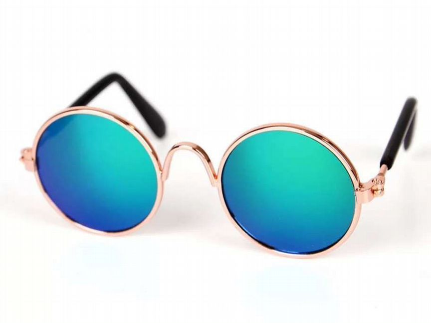 Очки для кота