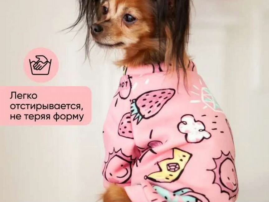 Свитшот для щенка мелких пород