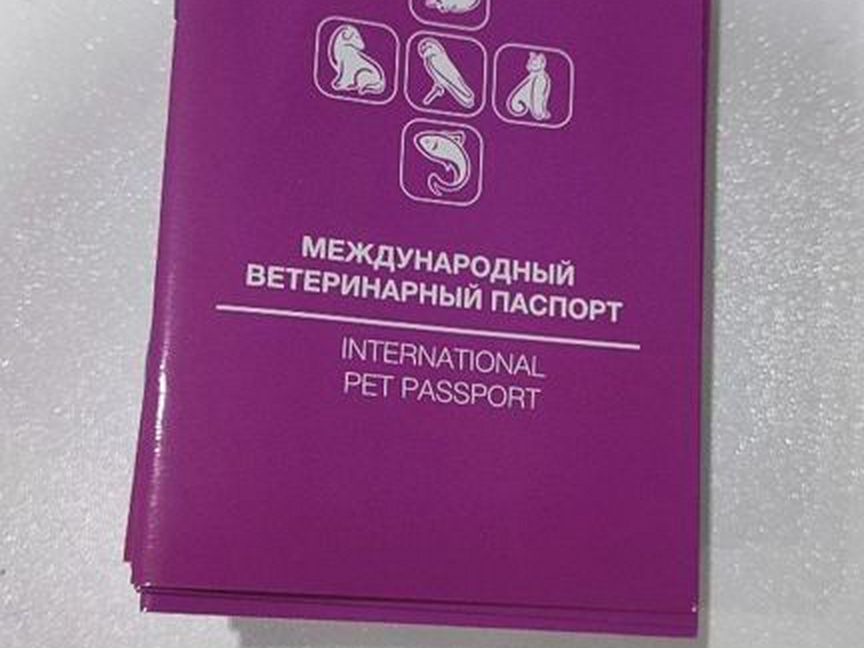 Ветеринарный паспорт 20шт