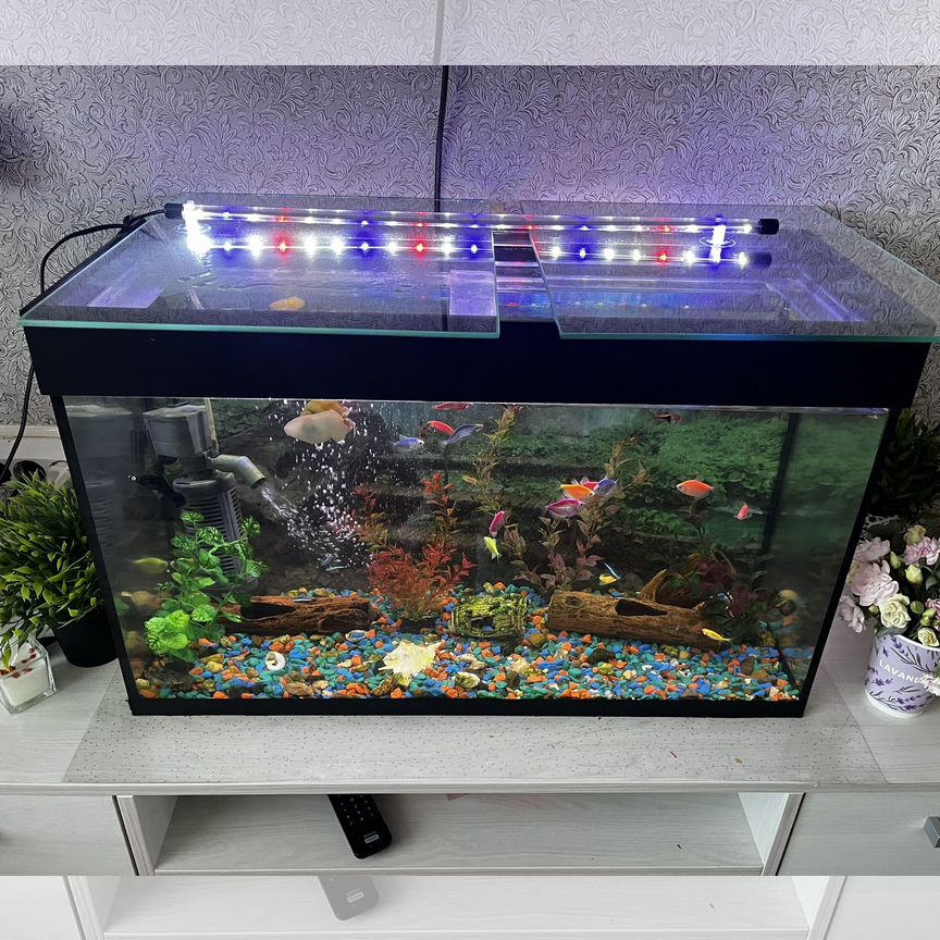 Аквариум с рыбками