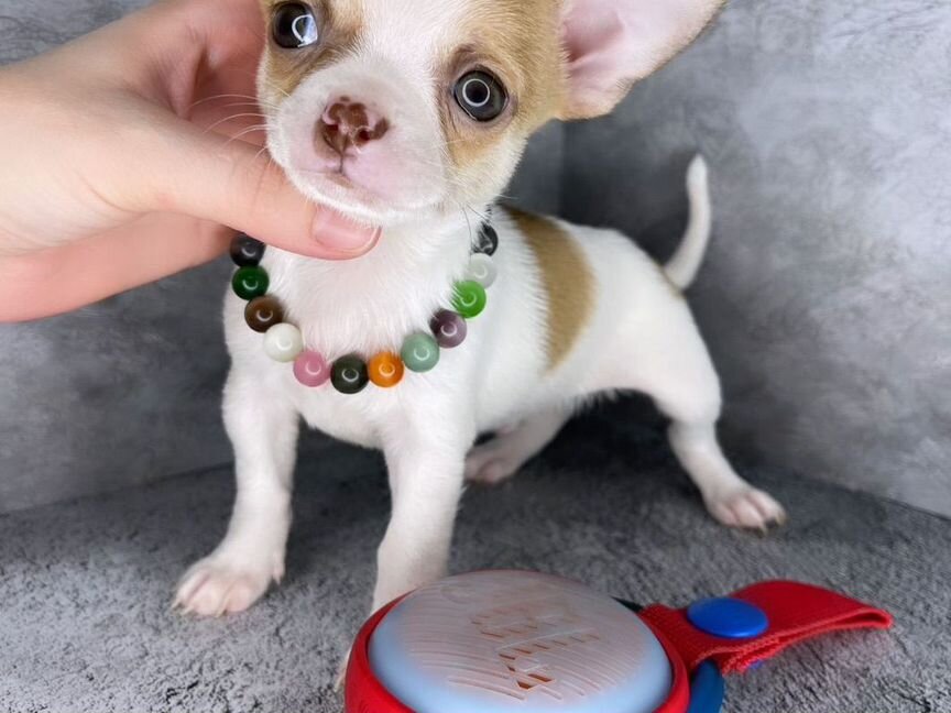 Мультяшный супер мини малыш