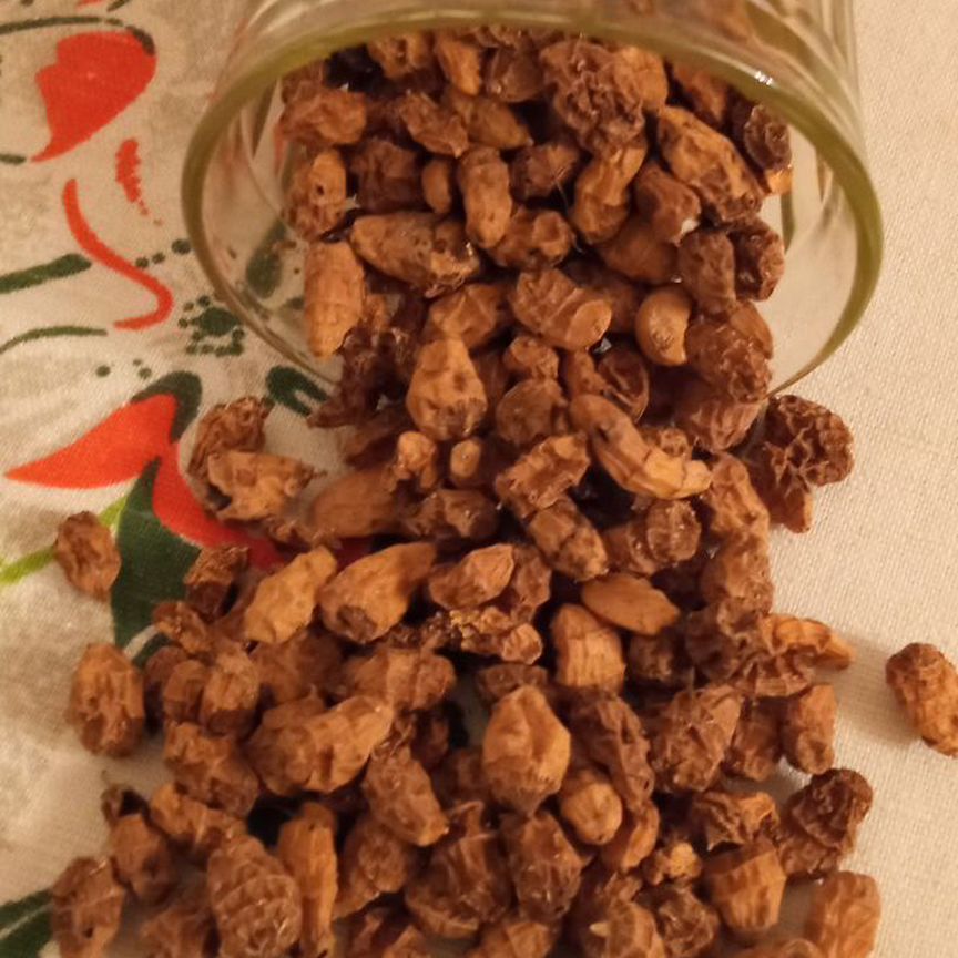 Прикормка для рыбалки