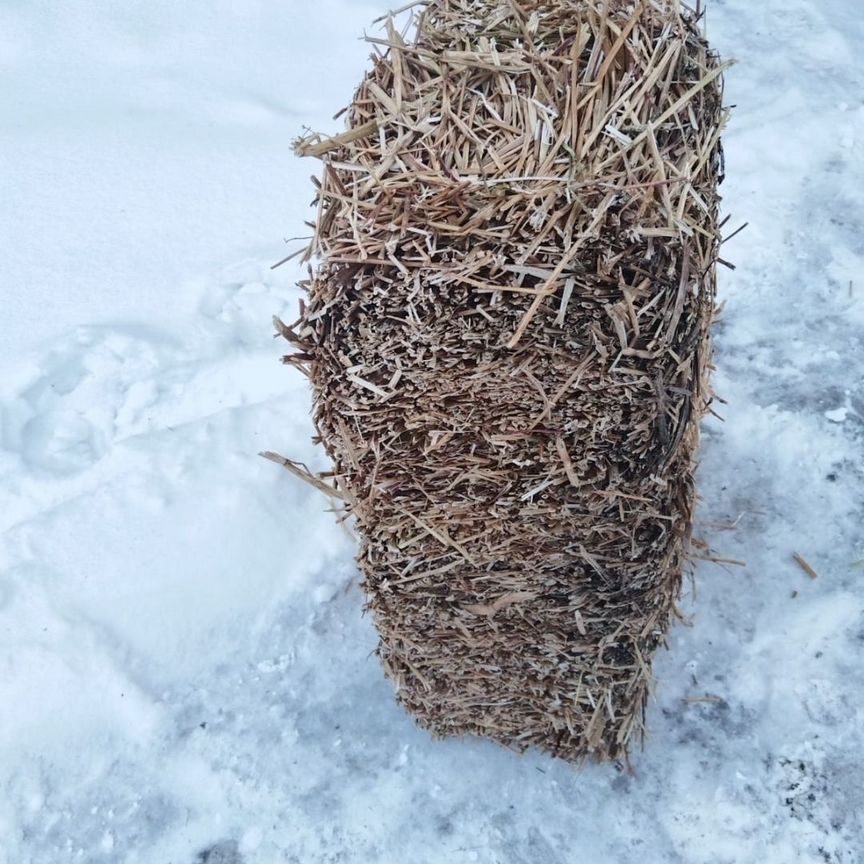 Солома по сто