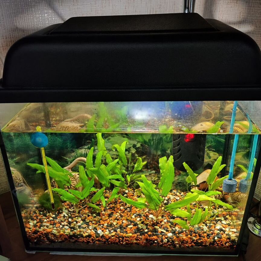 Аквариум в сборе 22л