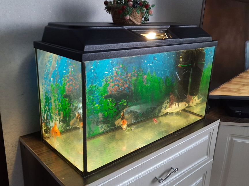 Аквариум 70 литров