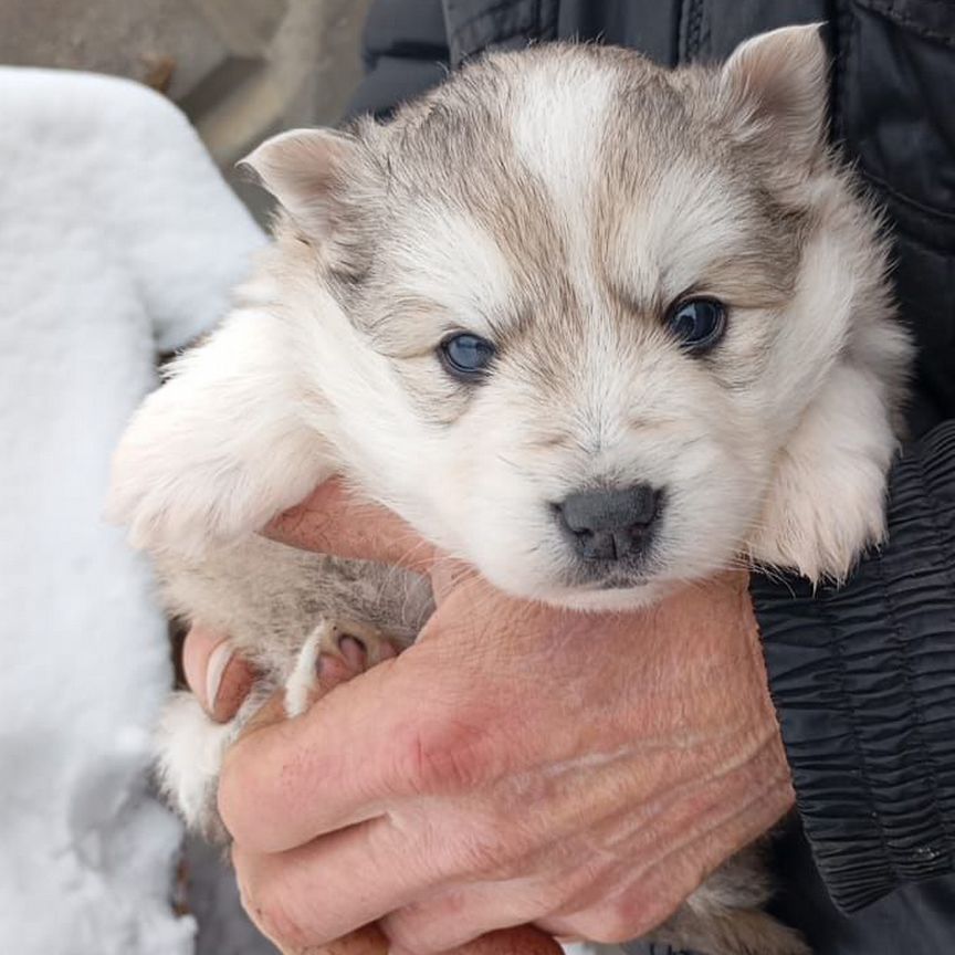 Красавчик мальчик