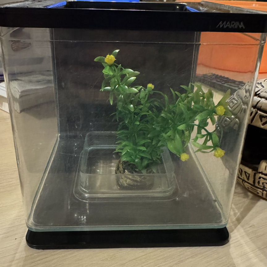 Мини аквариум