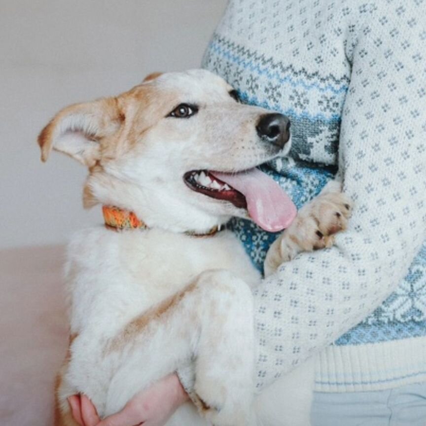 Прелестная девочка